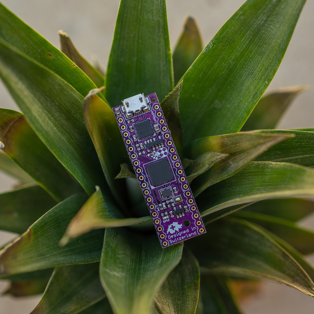 New website / shop! – Dooba